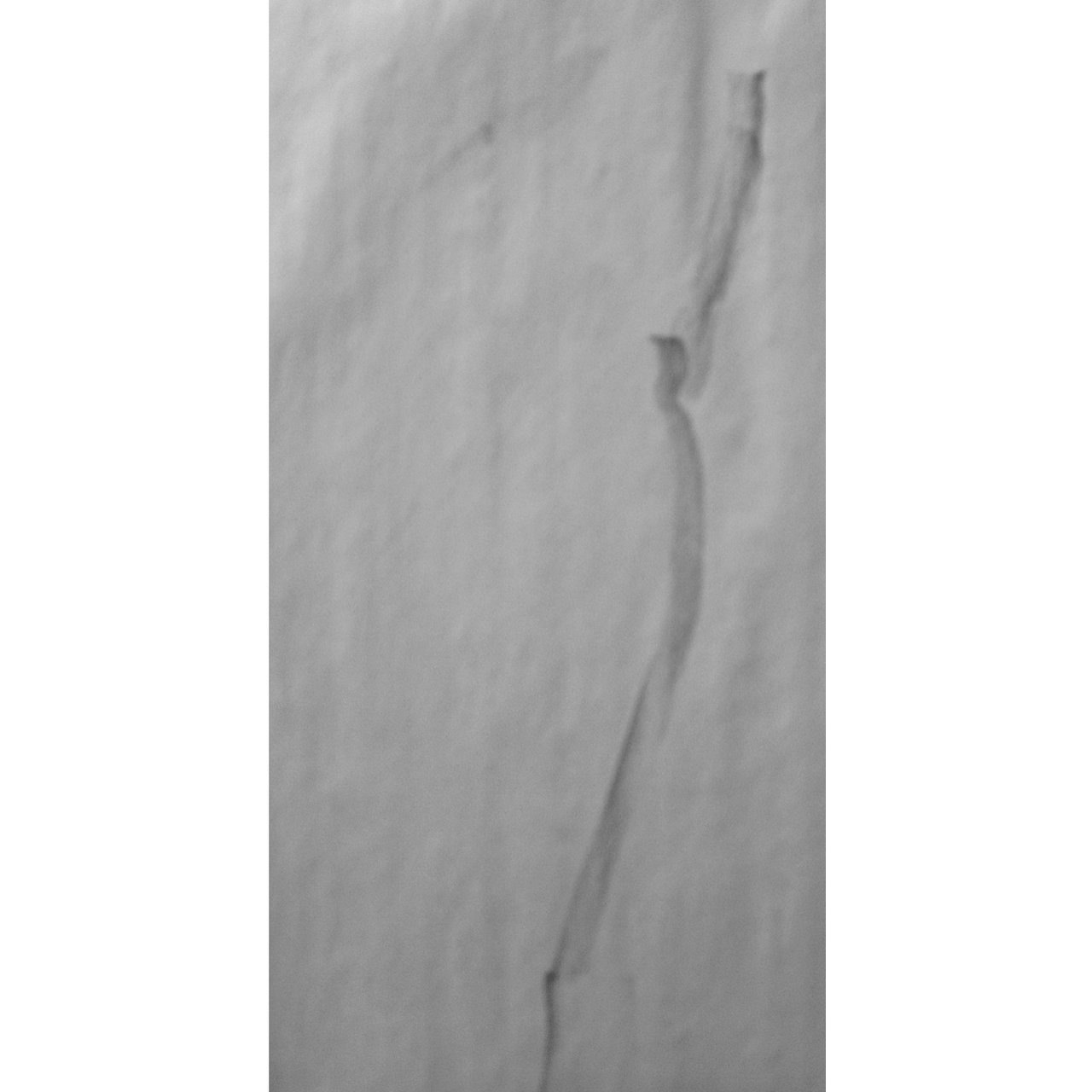 Anatomy Charcoal Drawing Demo | freearttraining.com
